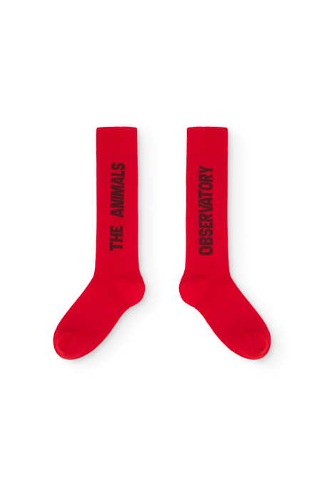 The Animals ObservatoryジアニマルズオブザーバトリーWORM KID SOCKS S26080_059_BG ...